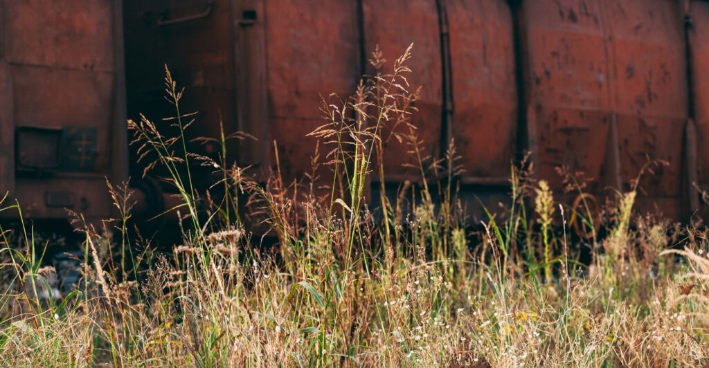 Home - Innovative Rail Technologies